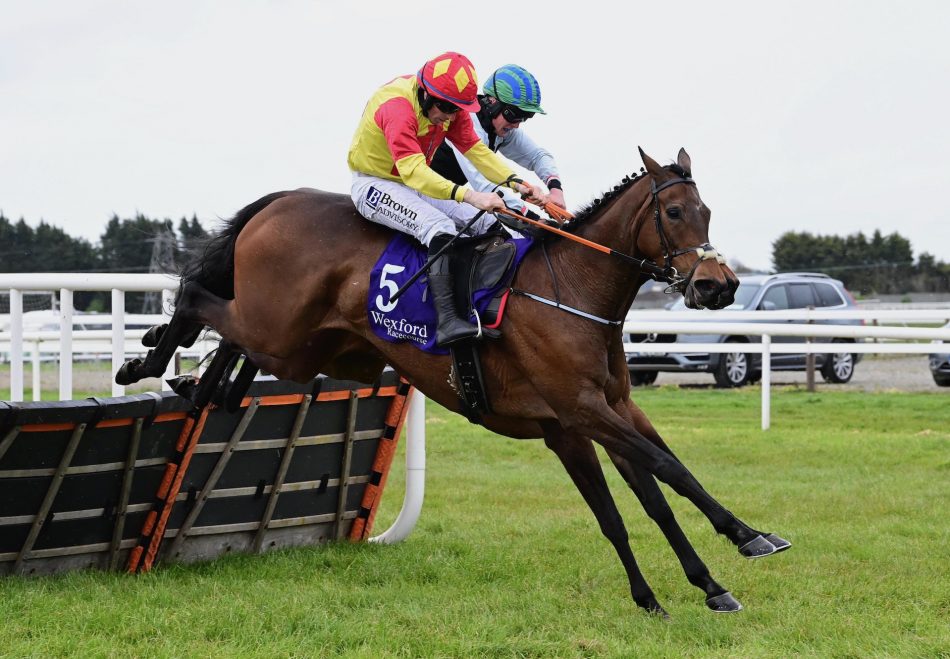 Promising Walk In The Park Mare Gets Off The Mark - Coolmore