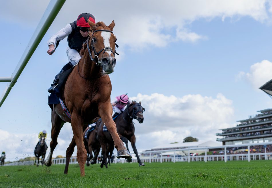 Kyprios Concludes Perfect Season In Long Distance Cup - Coolmore