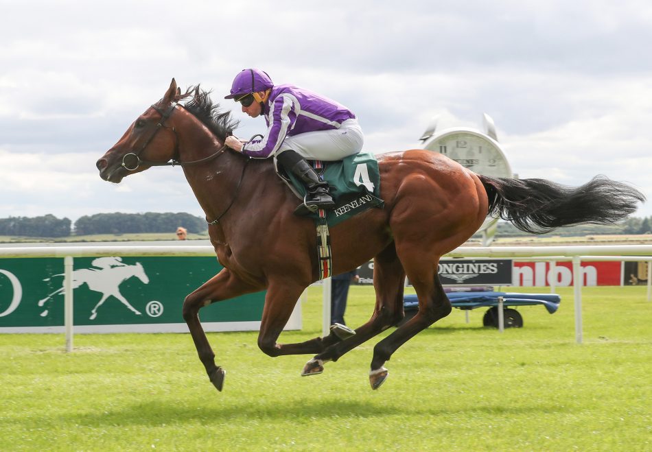 European Champion Two-Year-Old Little Big Bear retired - Coolmore