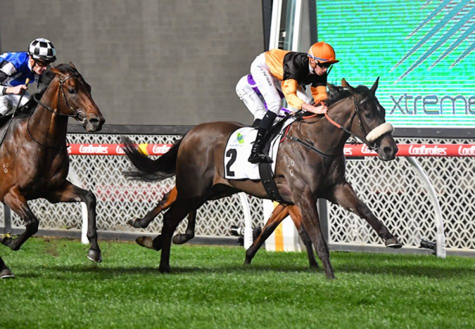Maharba Back on Track - Coolmore