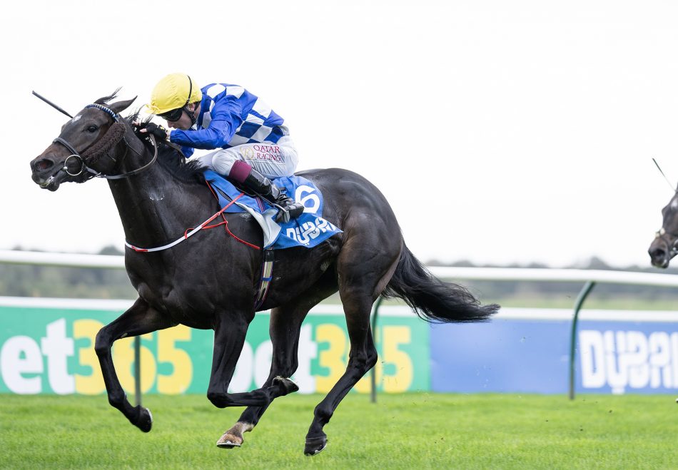Speedy Sioux Nation Filly Adds Group 2 To Impressive Record - Coolmore