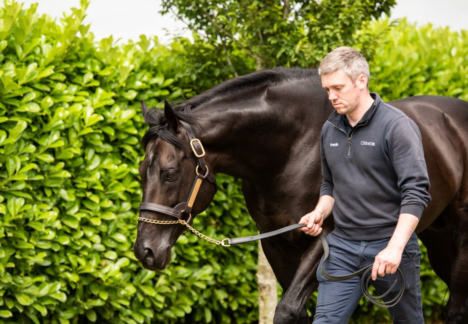 Promising Son Of Maxios Off The Mark Over Hurdles - Coolmore