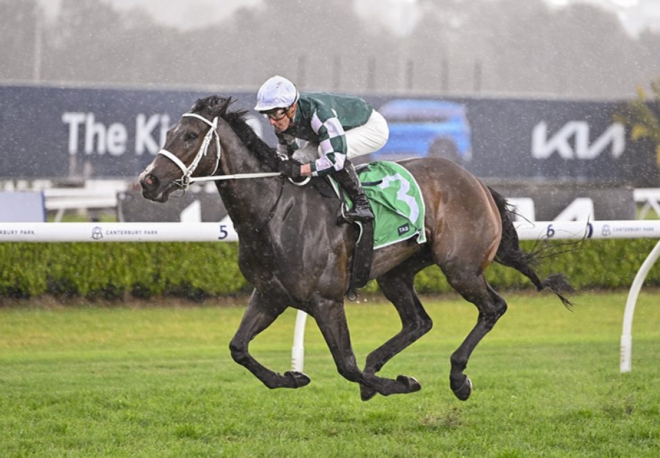 Yulong Double With Justify and Waller - Coolmore