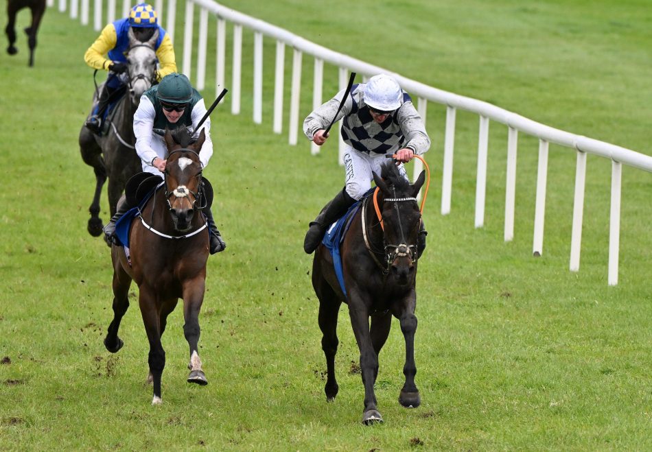 Maxios Four-Year-Old Makes Smart Debut - Coolmore