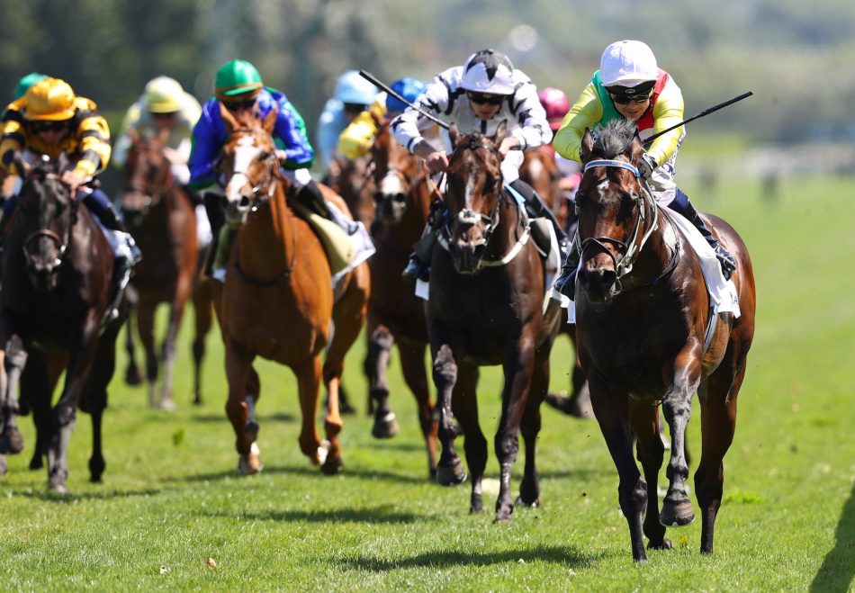 Gleneagles Colt Proves A Class Above In Listed Sprint - Coolmore