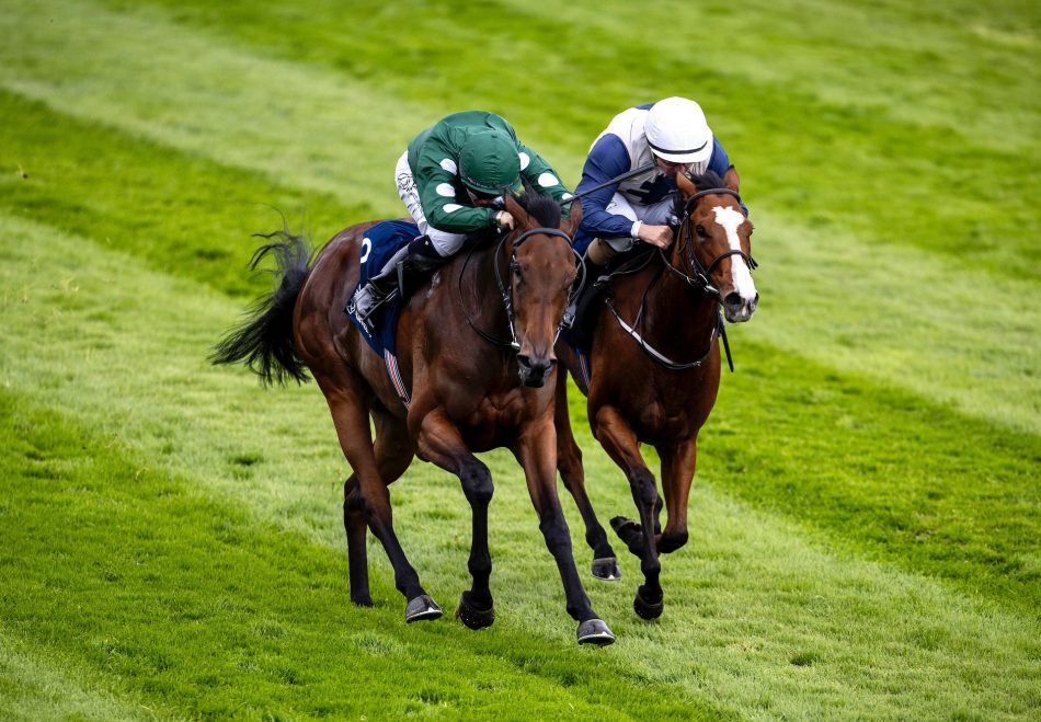 Well-Regarded Sioux Nation Filly Wins Naas Maiden - Coolmore