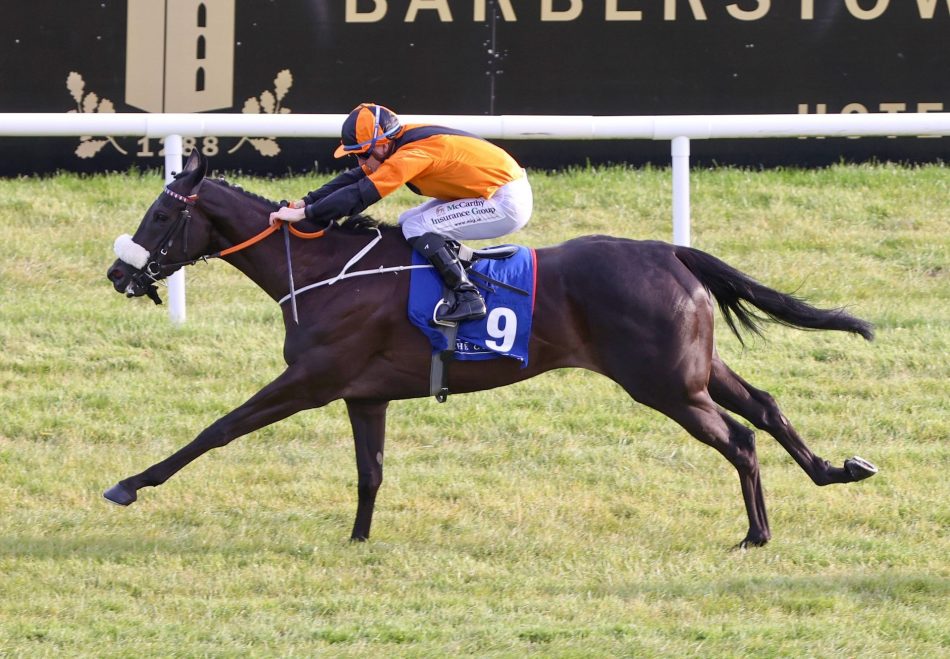 Sioux Nation Filly Draws Clear In Curragh Maiden - Coolmore