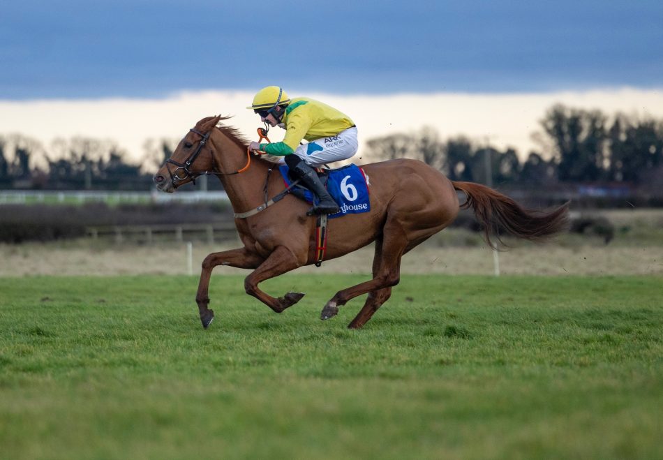 Soldier Of Fortune Filly Draws Clear On Debut - Coolmore