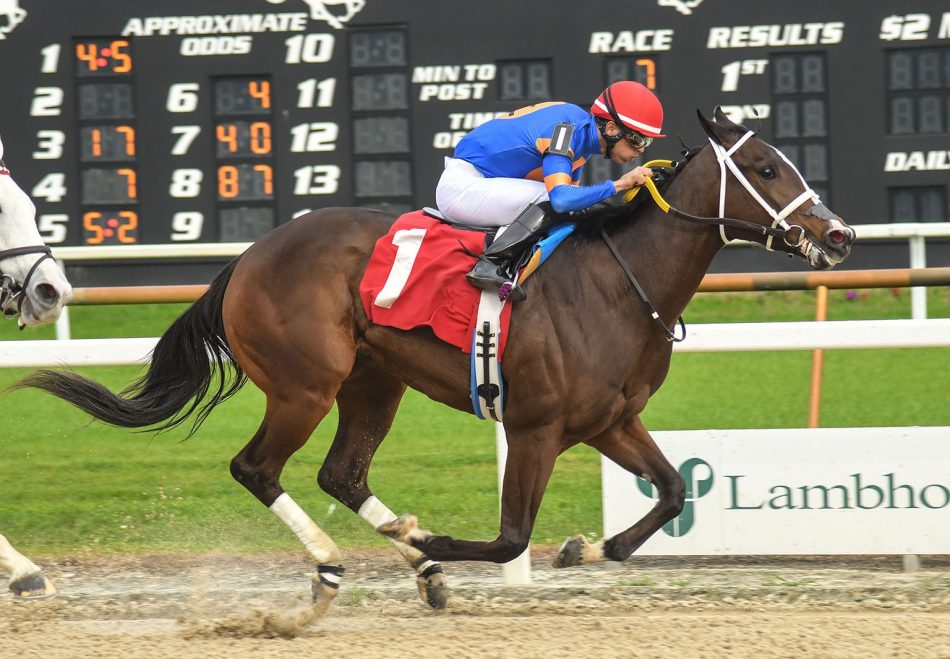 Mo Town’s Mystic Lake Earns First Stakes Victory - Coolmore