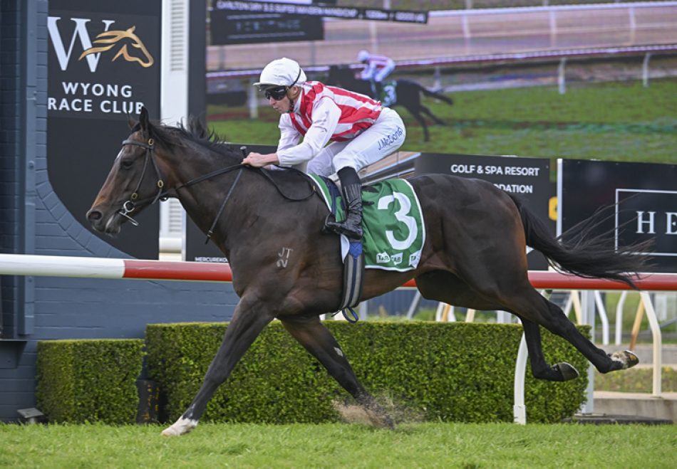 Wootton Bassett Colt Bolts in by Five! - Coolmore