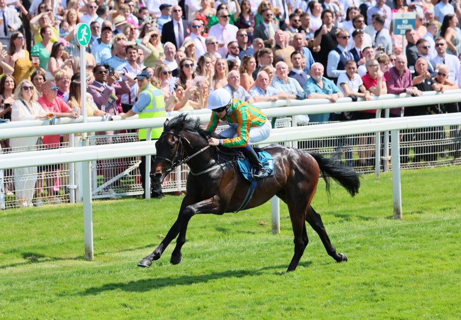 Sioux Nation Colt Proves A Cut Above At York - Coolmore