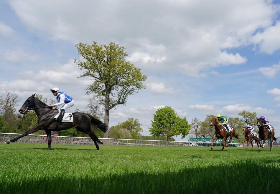 No Nay Never Juvenile Impresses On Debut - Coolmore