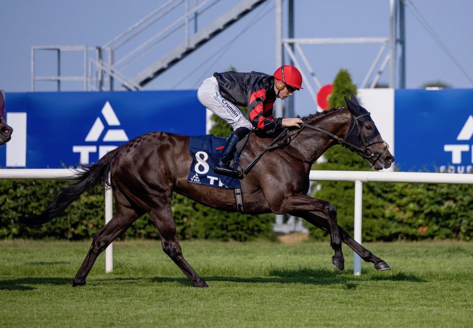 Sioux Nation Filly Sparkles In Group 3 Ballycorus Stakes - Coolmore
