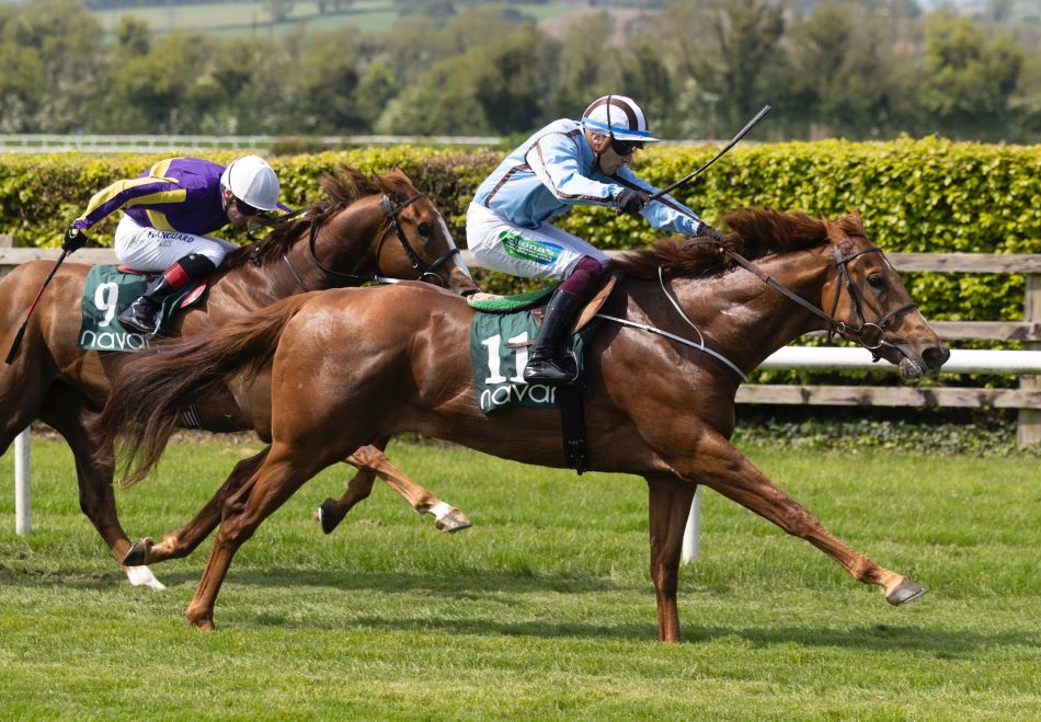 Another Smart Maiden Winner By Starspangledbanner - Coolmore