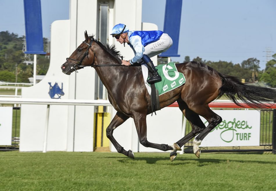 Coolmore Sires Trifecta G3 Kembla Grange Classic - Coolmore