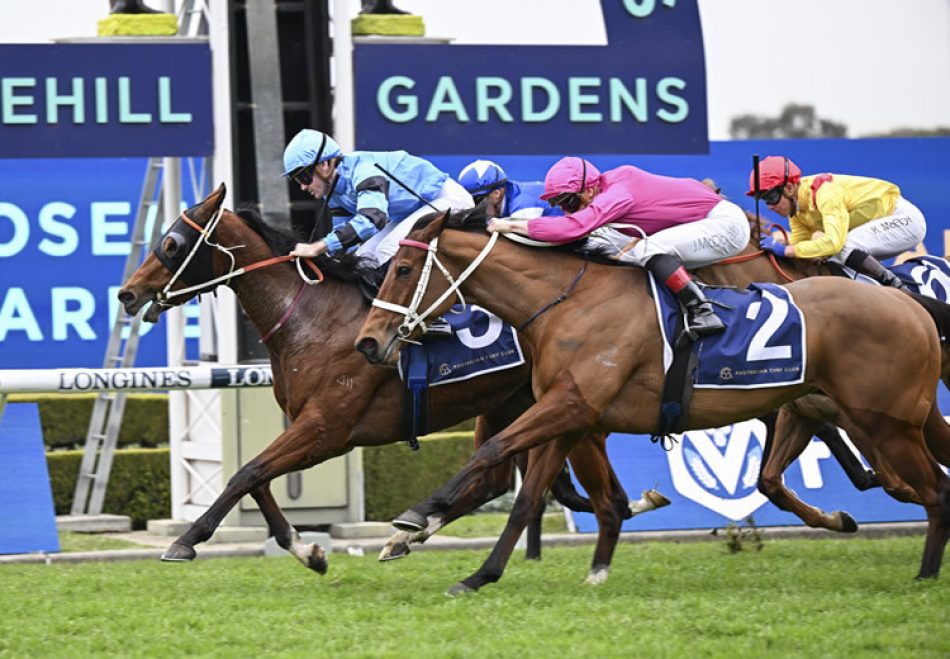 Starspangledbanner Mare Makes it Two in a Row at Rosehill - Coolmore
