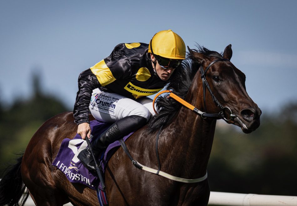 Sioux Nation Juvenile Not For Catching At Leopardstown - Coolmore