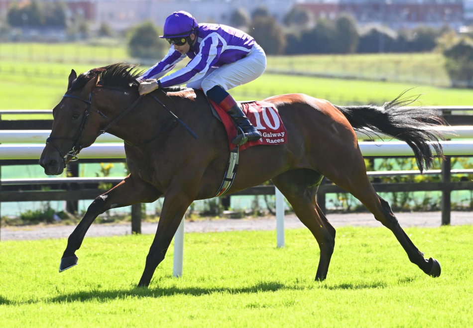 St Mark’s Basilica Colt Easily Breaks Maiden At Galway - Coolmore