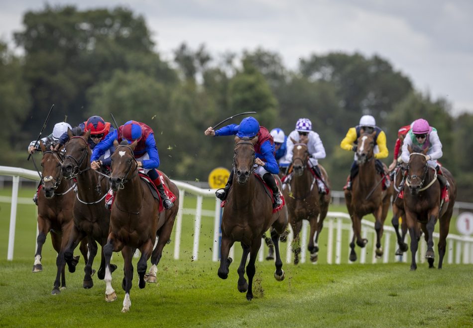 Stakes Potential St Mark's Basilica New Winner - Coolmore