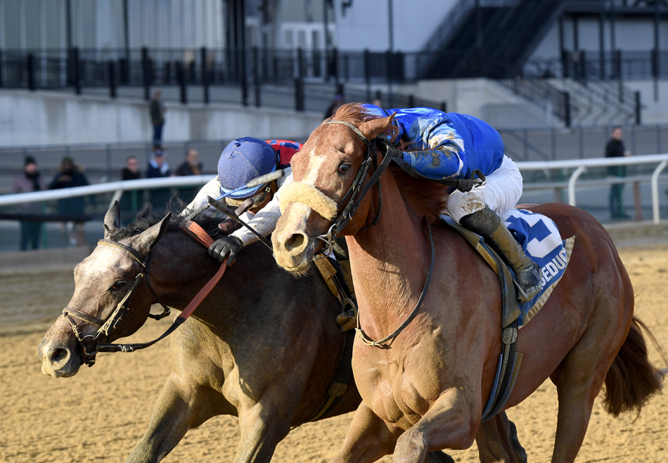 Munnings’ Poster Leads Coolmore-Sired Exacta in G2 Remsen - Coolmore