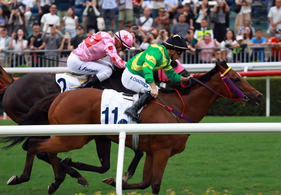 New Australian Justify SW in Hong Kong - Coolmore