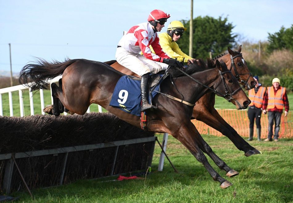 Son Of Yeats Catches The Eye On Second Point Start - Coolmore