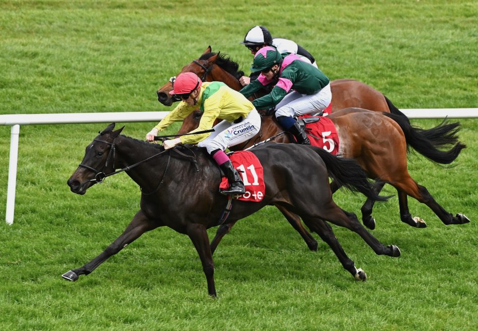 More To Come From Sioux Nation Filly After Maiden Win - Coolmore