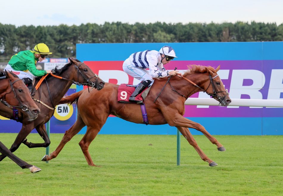Sioux Nation Filly Makes Perfect Debut - Coolmore