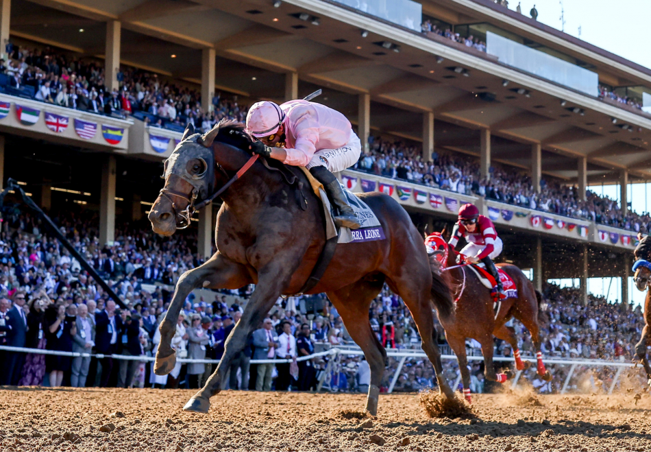 Sierra Leone To Retire To Coolmore America For 2026 - Coolmore