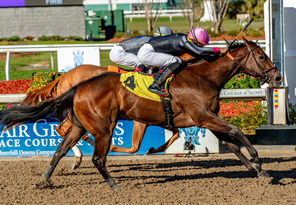 Practical Joke Juvenile Wins Letellier Memorial On Debut - Coolmore