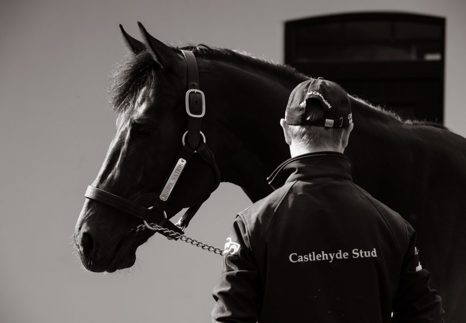 Improving Son Of Sioux Nation Gets Off The Mark - Coolmore