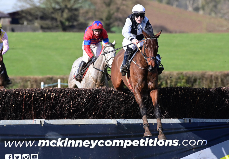 Another Six-Figure Pointer By Order Of St George - Coolmore