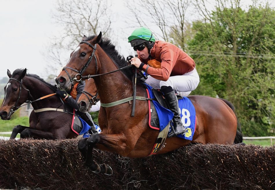 Wings Of Eagles Mare Gets Off The Mark At Dromahane - Coolmore