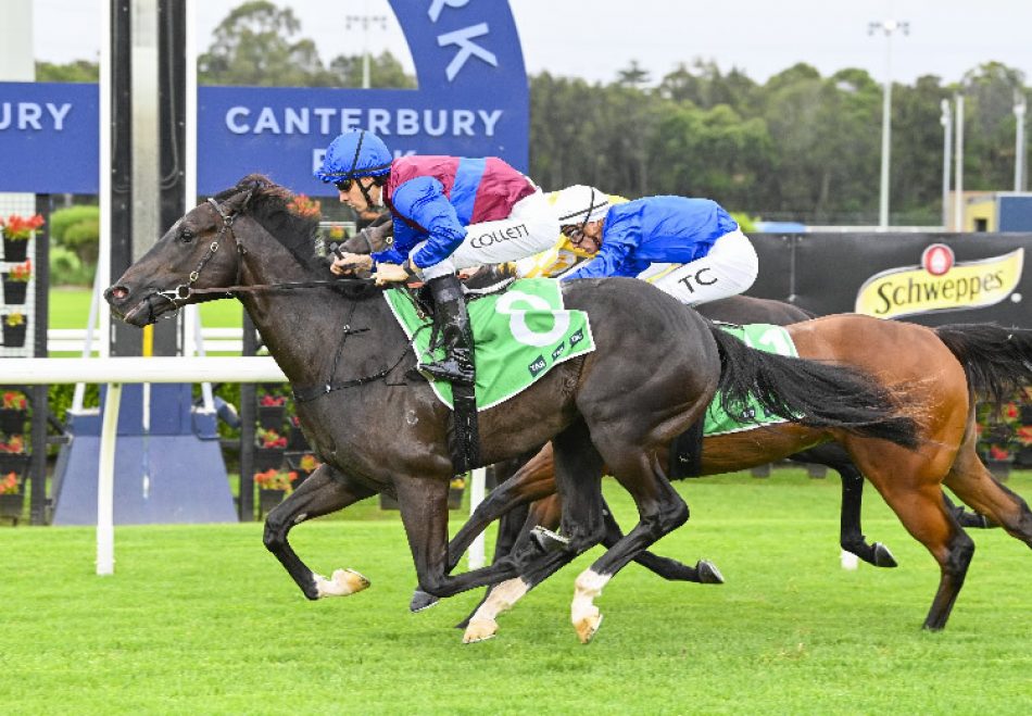 Dazzling Debut Winner for Wootton Bassett - Coolmore