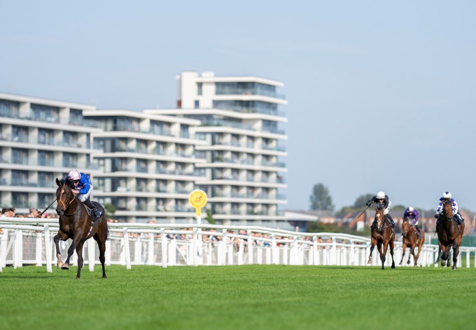 Exciting Calyx Colt Bolts Up On Debut At Newbury - Coolmore