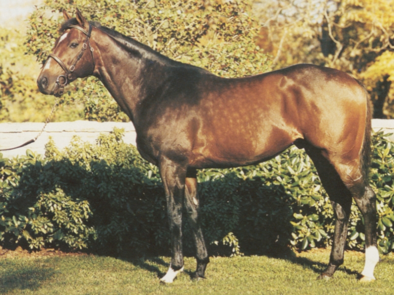 Hall of Fame - Coolmore