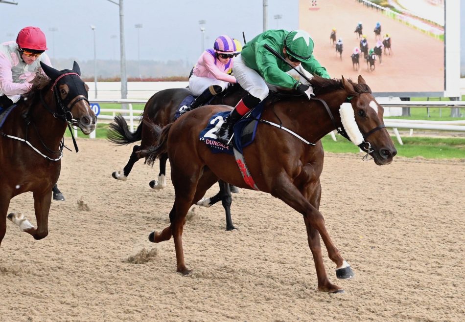 Promising Churchill Colt Delivers In Sprint Maiden - Coolmore