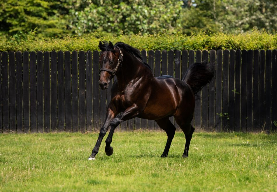 Fast Filly Continues Smart Start For Ten Sovereigns - Coolmore