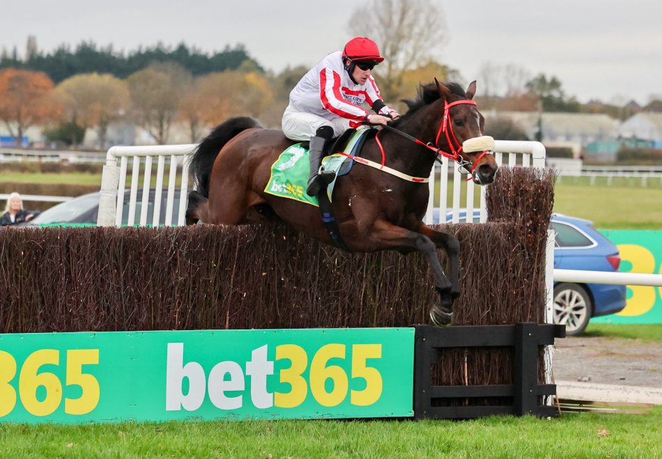 Son Of Mahler Bounces Back In Charlie Hall Chase - Coolmore