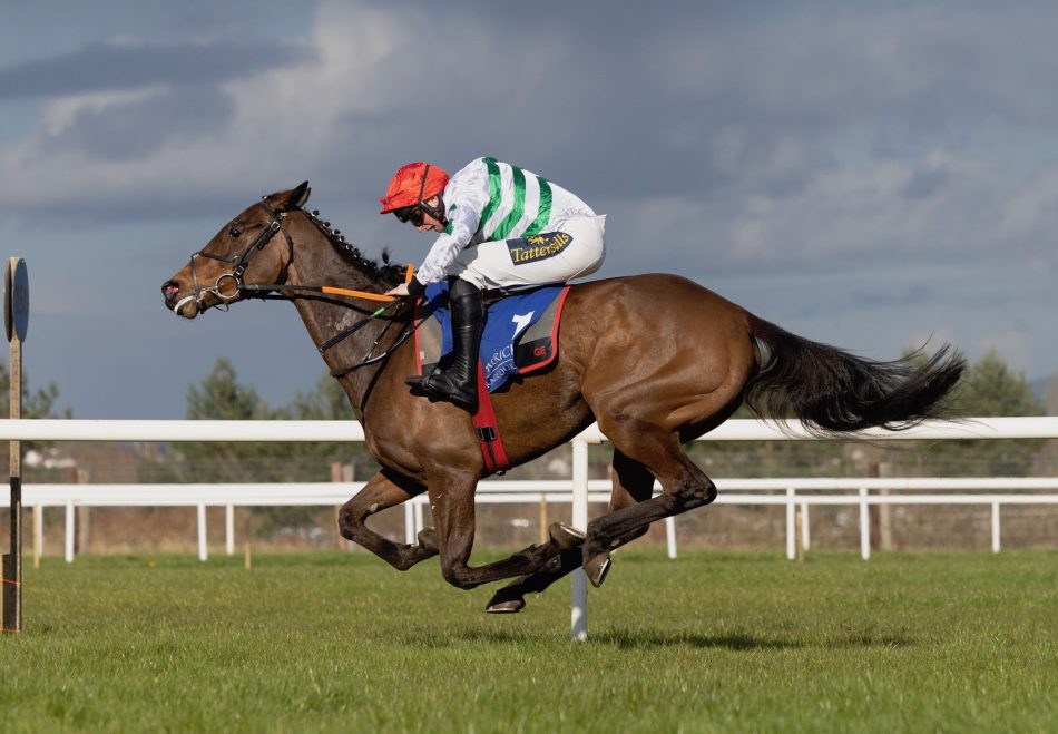 Son Of Yeats Remains Unbeaten In Listed Bumper - Coolmore