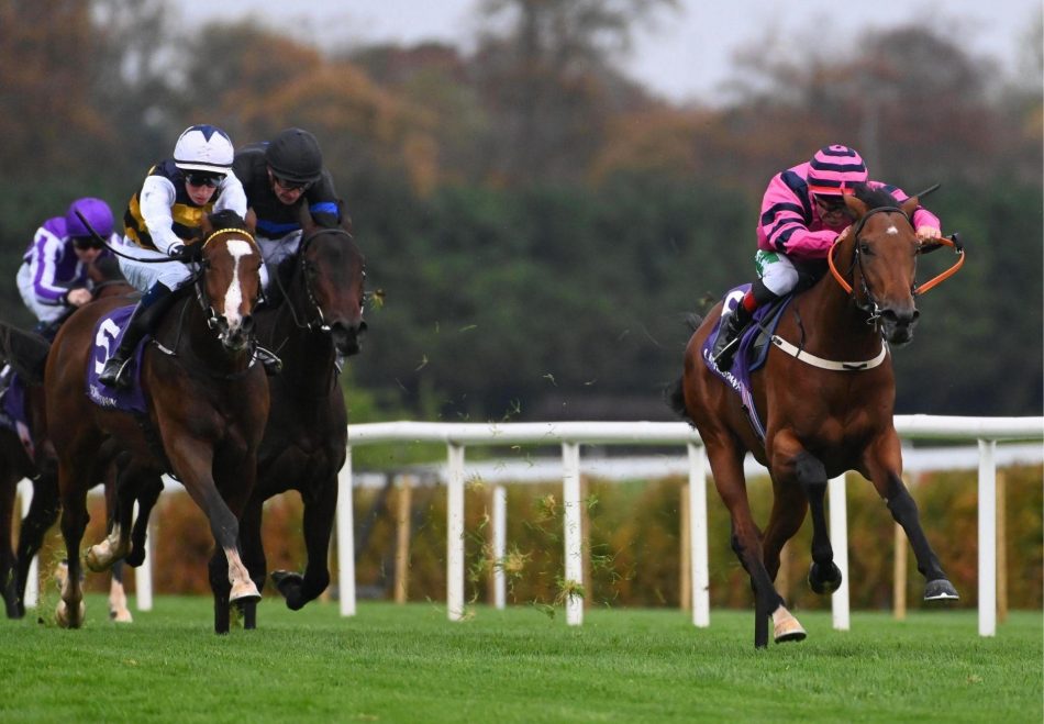 Juvenile Starspangledbanner Colt Collects Maiden Success - Coolmore