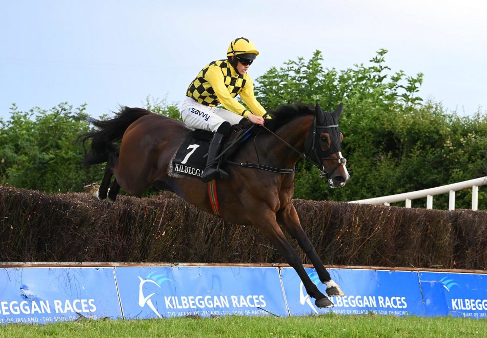 13-Length Chase Win For Son Of Walk In The Park - Coolmore