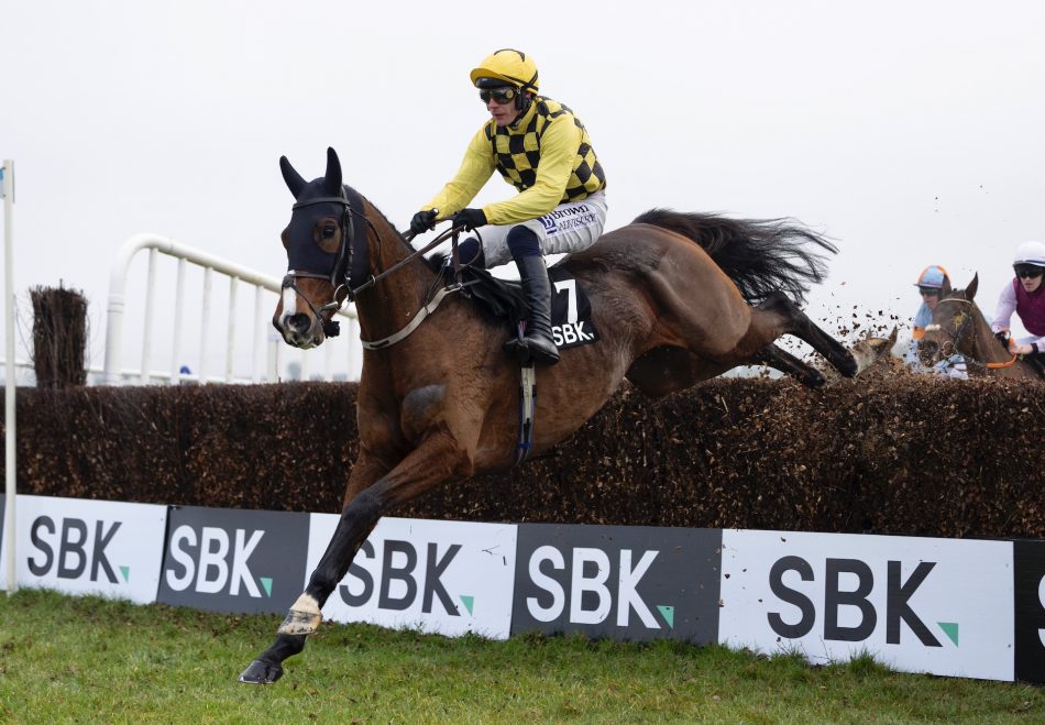 Son Of Walk In The Park Makes All In Grade 3 Chase - Coolmore