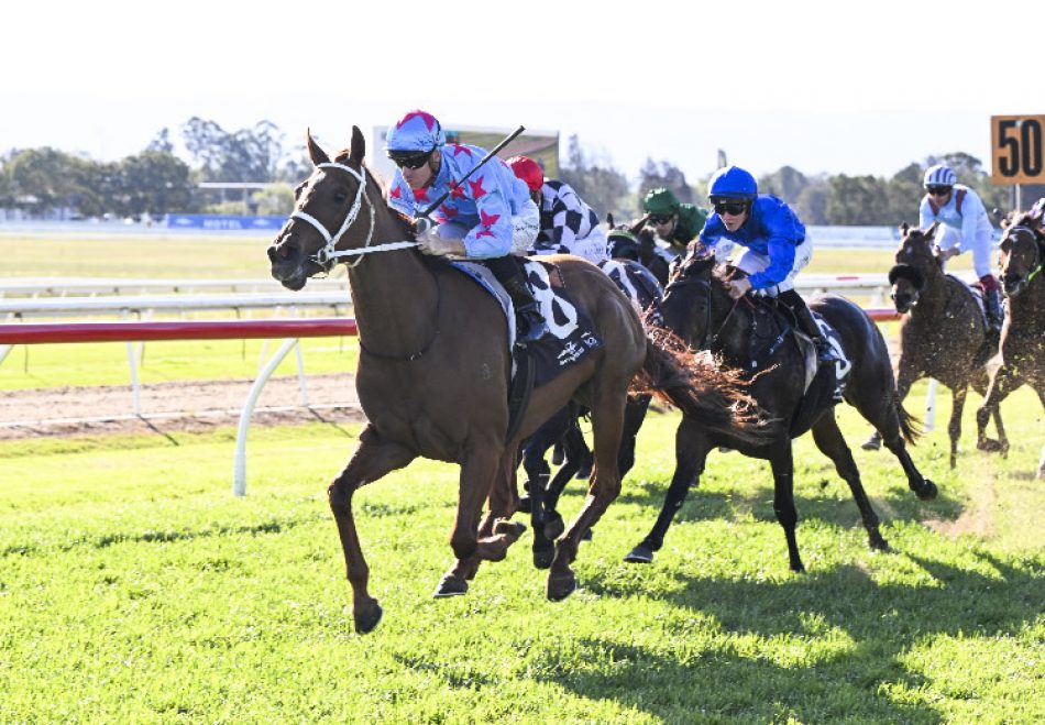 Thursday Winning Double for Yes Yes Yes - Coolmore