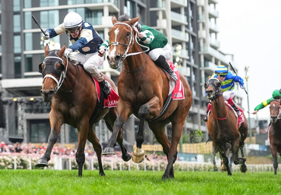 Fastnet Rock Stars Quinella G1 Cox Plate - Coolmore