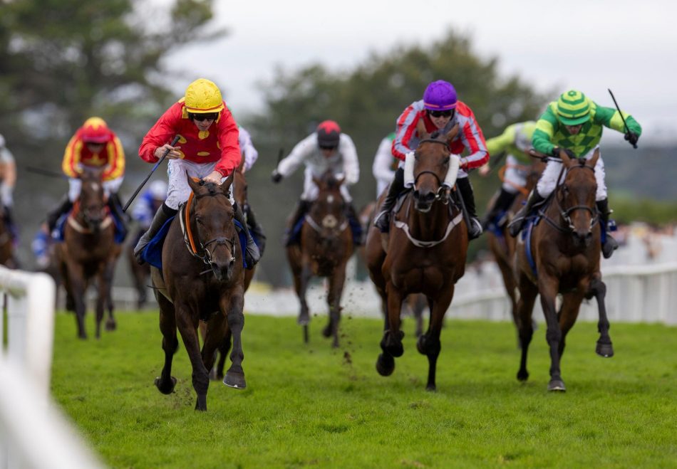 Son of Yeats Captures Listed Victory At Galway - Coolmore