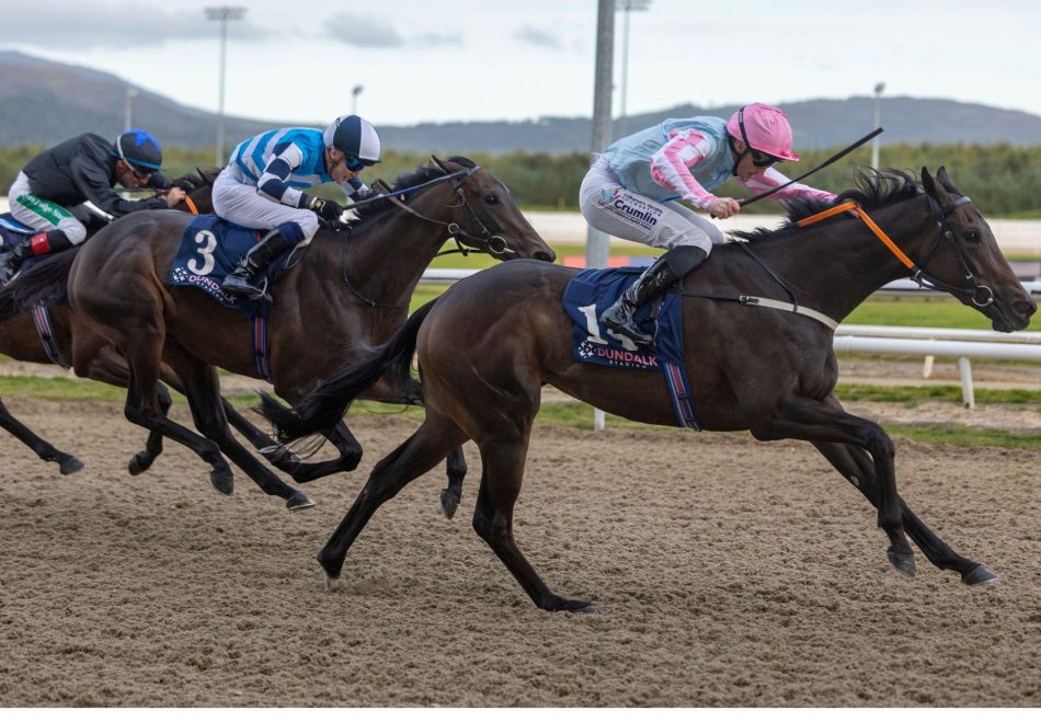 Juvenile Sioux Nation Filly Off The Mark - Coolmore