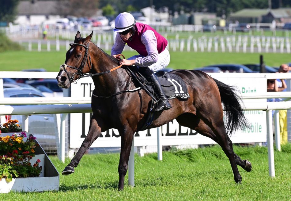 More To Come From Smart Son Of Yeats - Coolmore