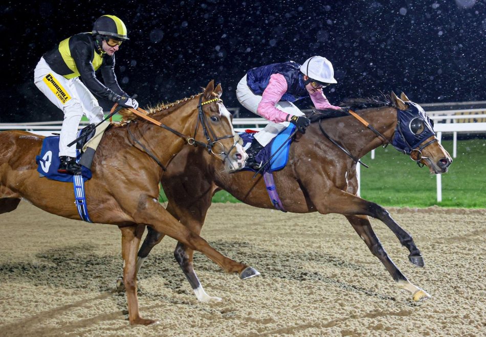 Juvenile Saxon Warrior Filly Gets Off The Mark - Coolmore