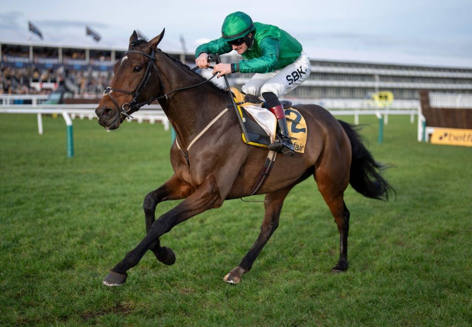 Smart Four-Year-Old Double For Walk In The Park - Coolmore